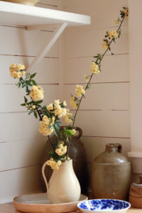 How to Bake Biscuits with Chef Scott Peacock | A Cook And Her Books