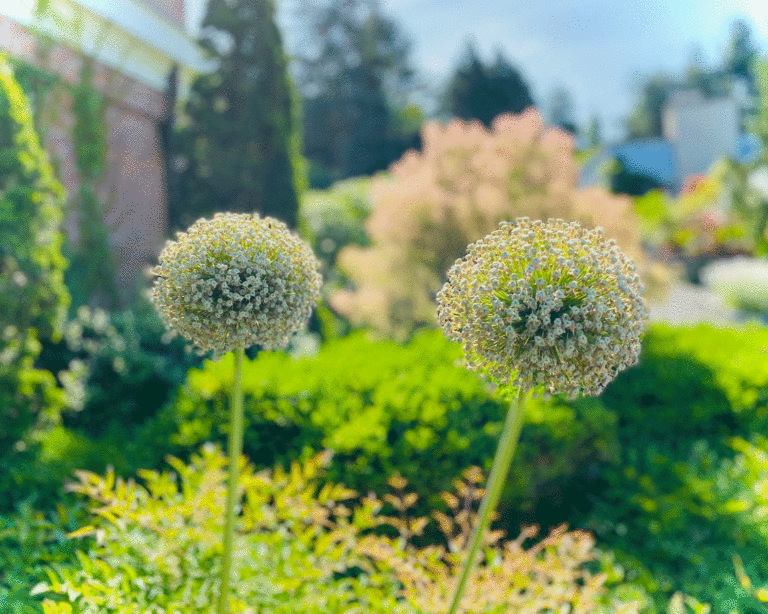 A Visit to Wave Hill Garden | A Cook And Her Books