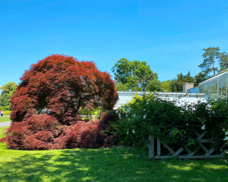 A Visit to Wave Hill Garden | A Cook And Her Books